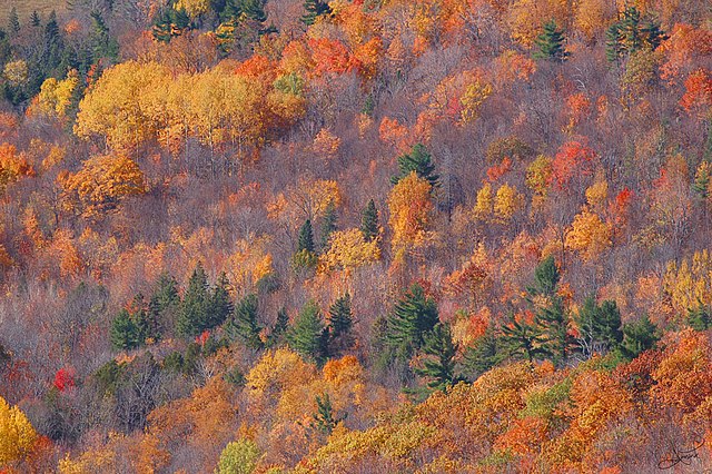 Atonement and Forgiveness | Dear Abbie: The Non-Advice ColumnDear Abbie ...